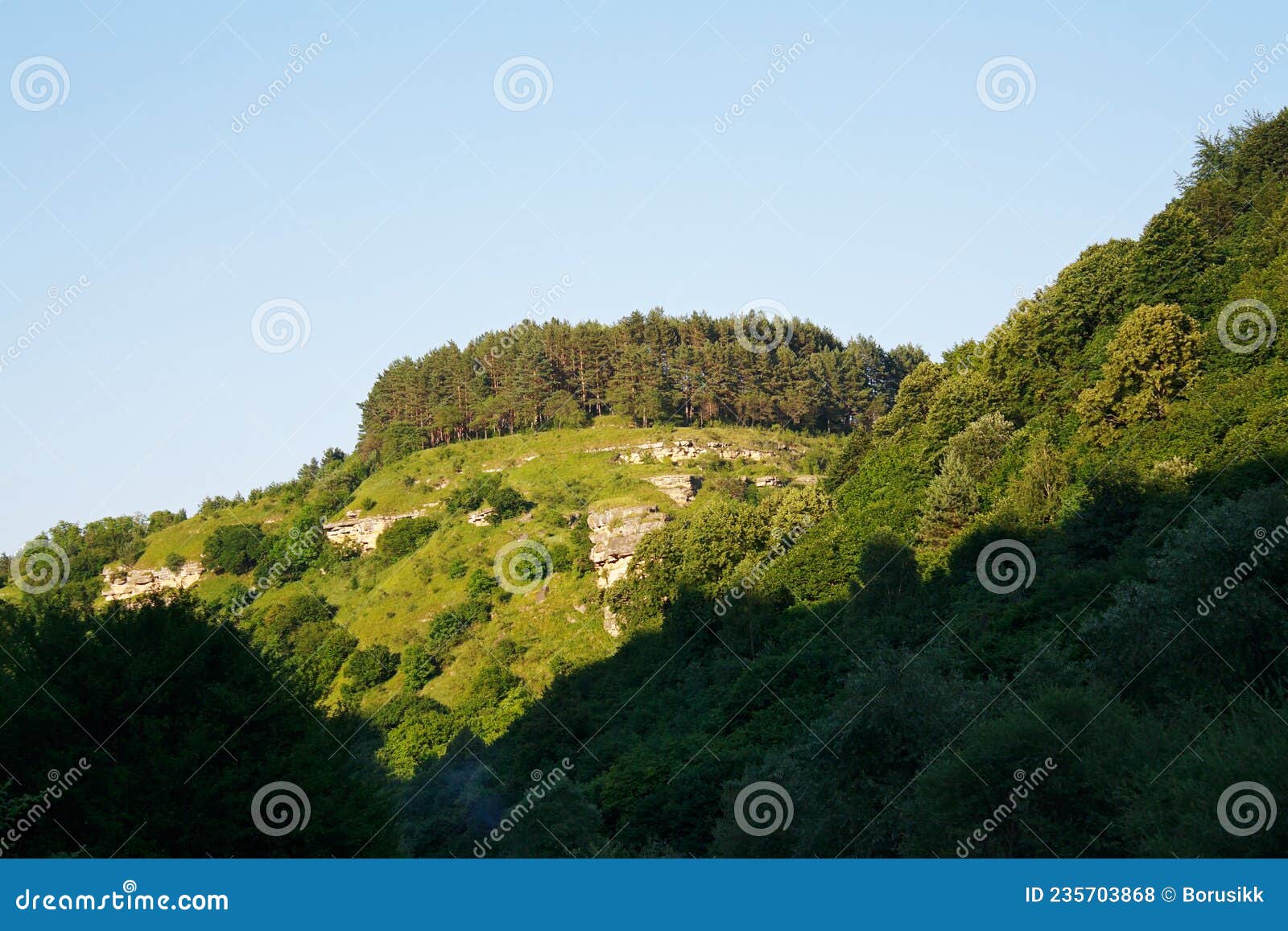 Forest on Top of Rock in Foothills of North Caucasus Stock Photo ...
