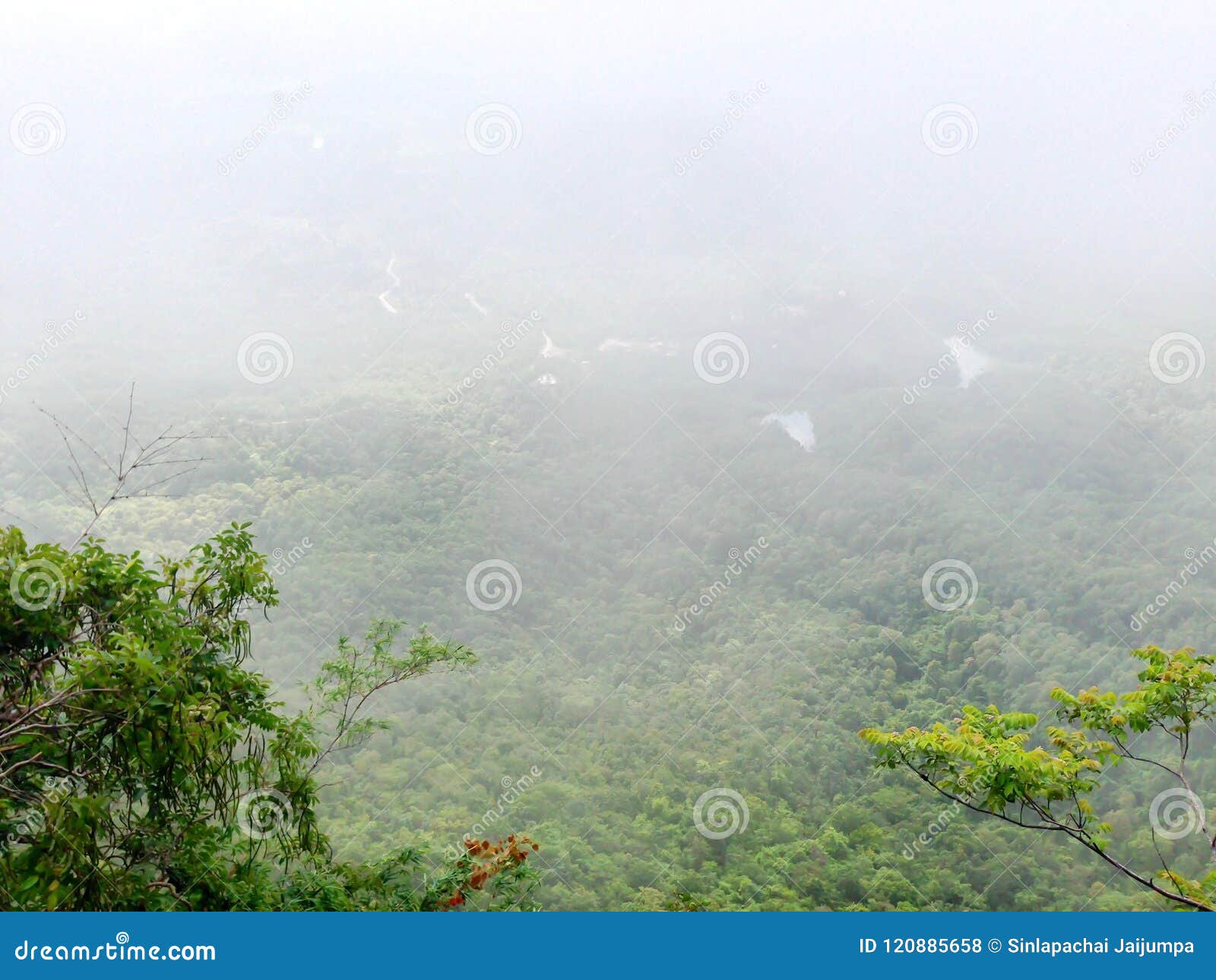 Forest Top View Have Clouds and Fog, View from the Mountain. Stock ...