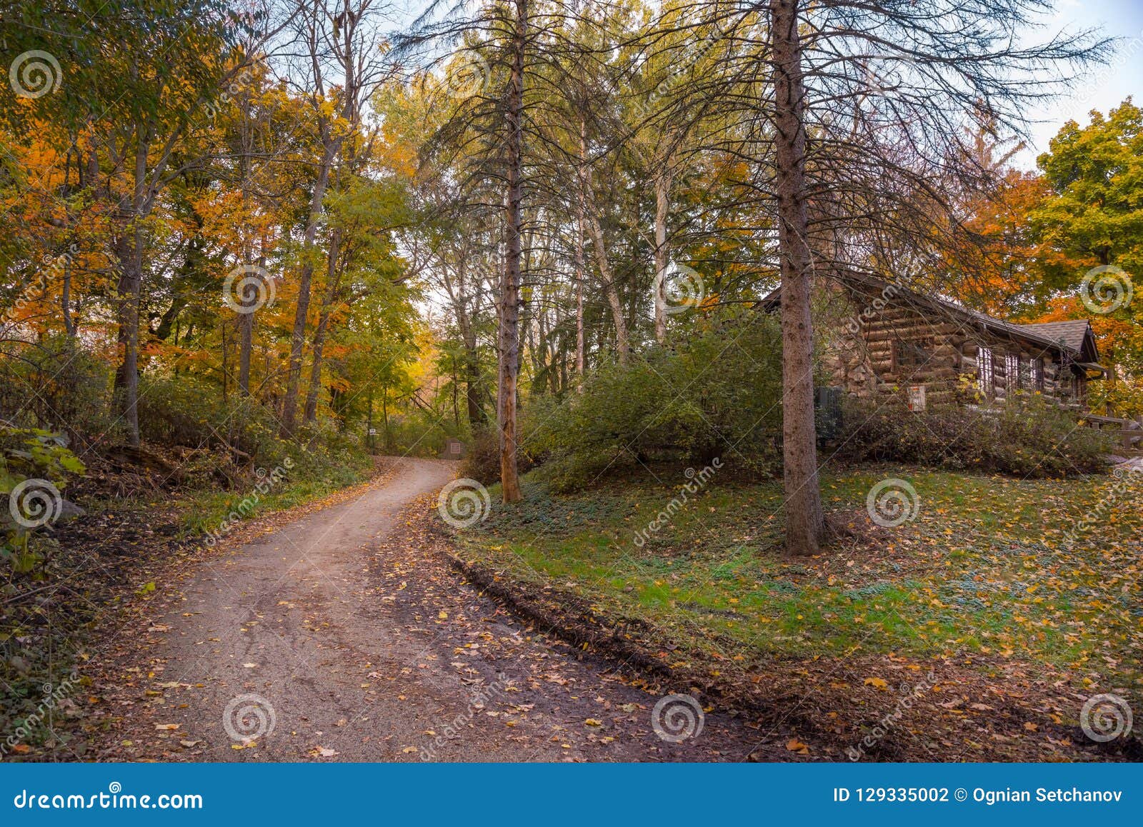 Forest Trail in a park stock photo. Image of road, dirt - 129335002