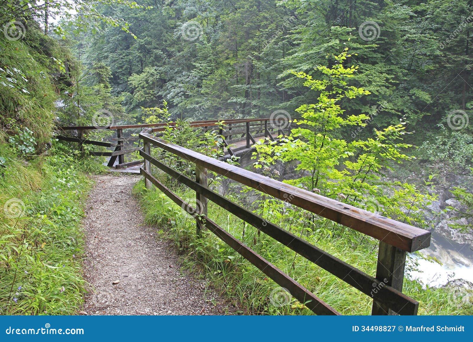 Forest trail stock image. Image of bridge, green, countryside - 34498827
