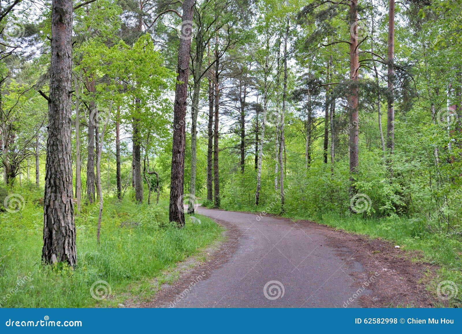 Forest Trails on Uppsala Sweden. Stock Photo - Image of countryside ...