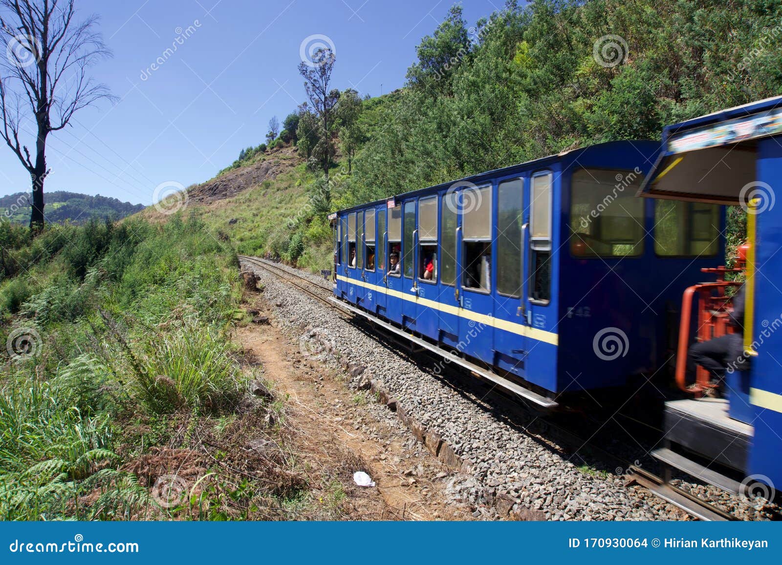 Forest Train Running through the Mountain Stock Photo - Image of tree ...