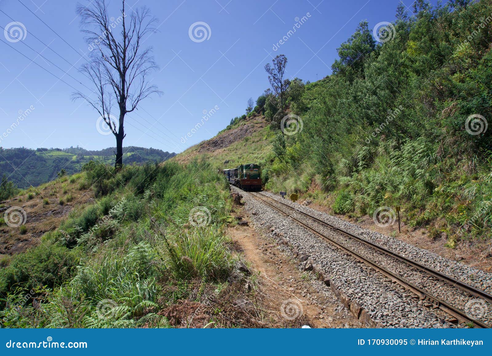 Forest Train Running through the Mountain Stock Image - Image of train ...
