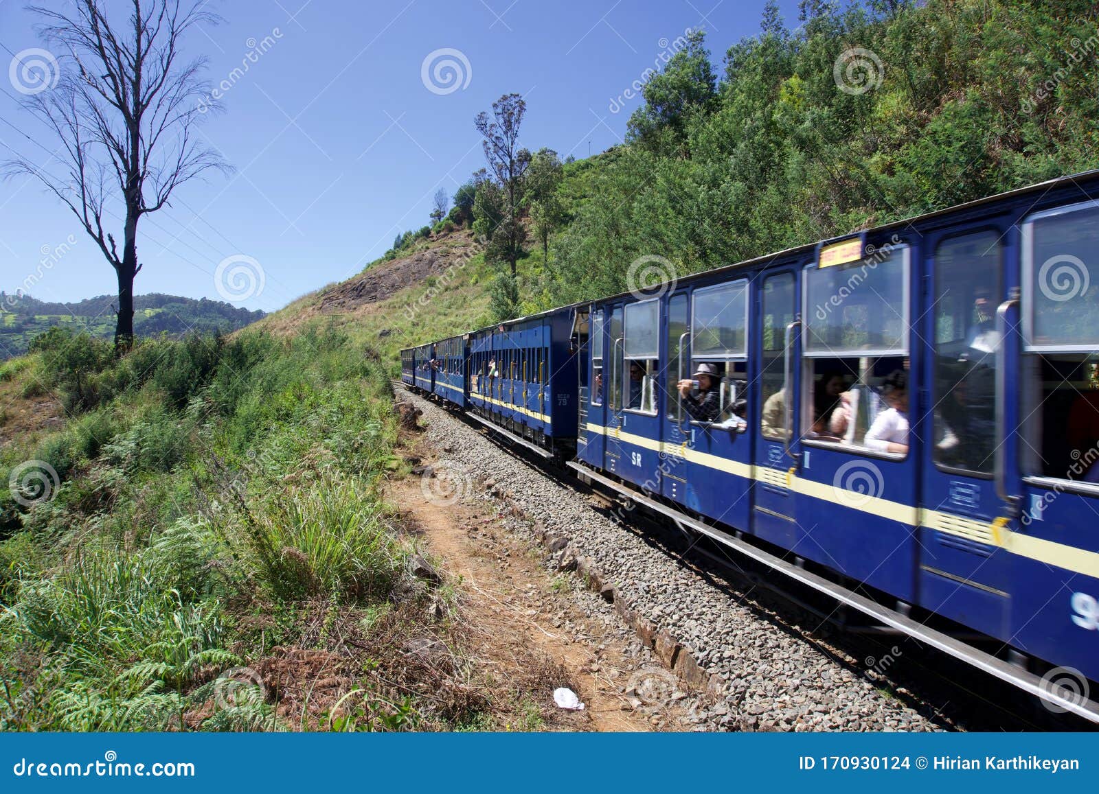 Forest Train Running through the Mountain Editorial Stock Image - Image ...