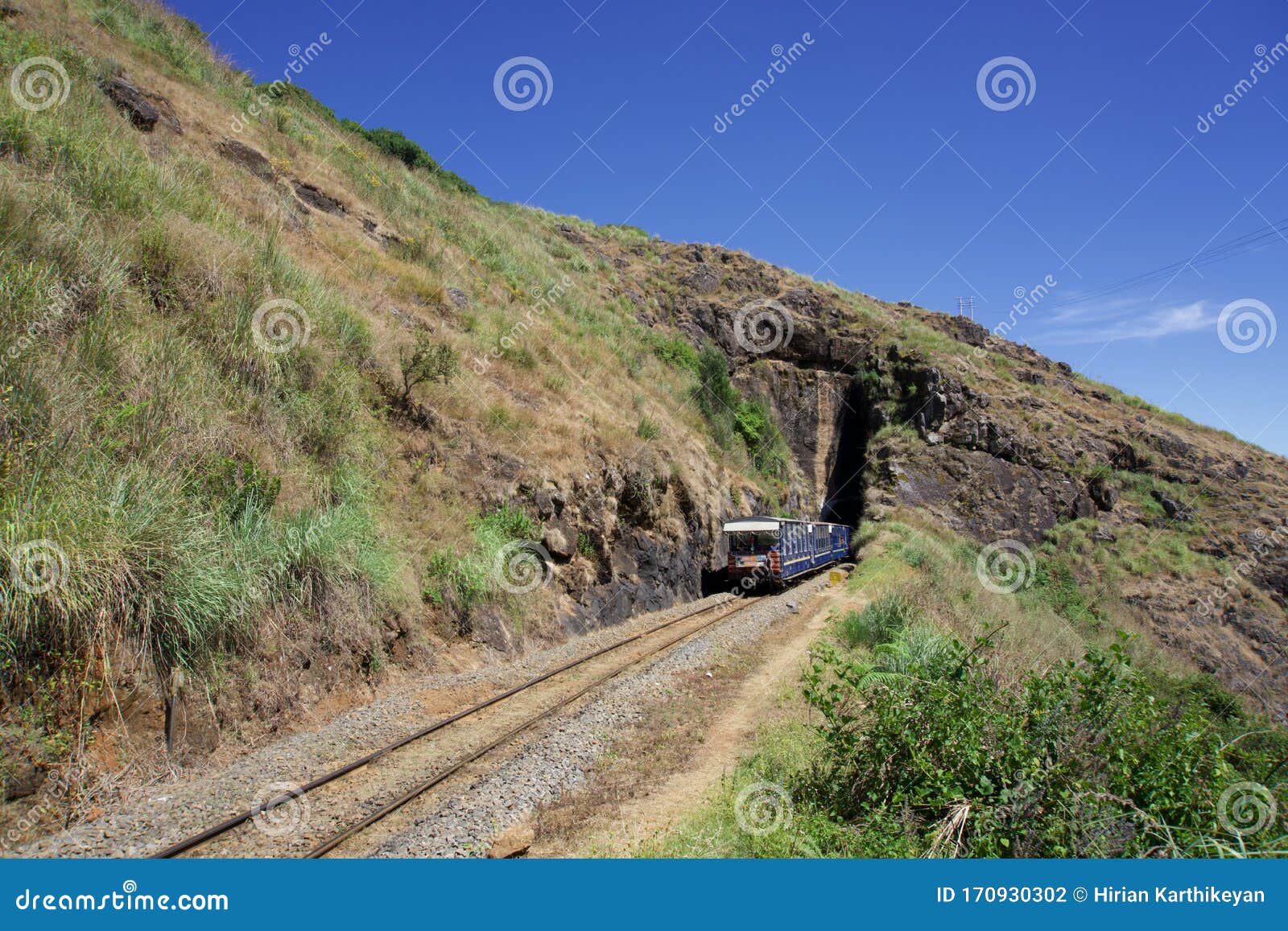 Forest Train Running through the Mountain Stock Photo - Image of green ...