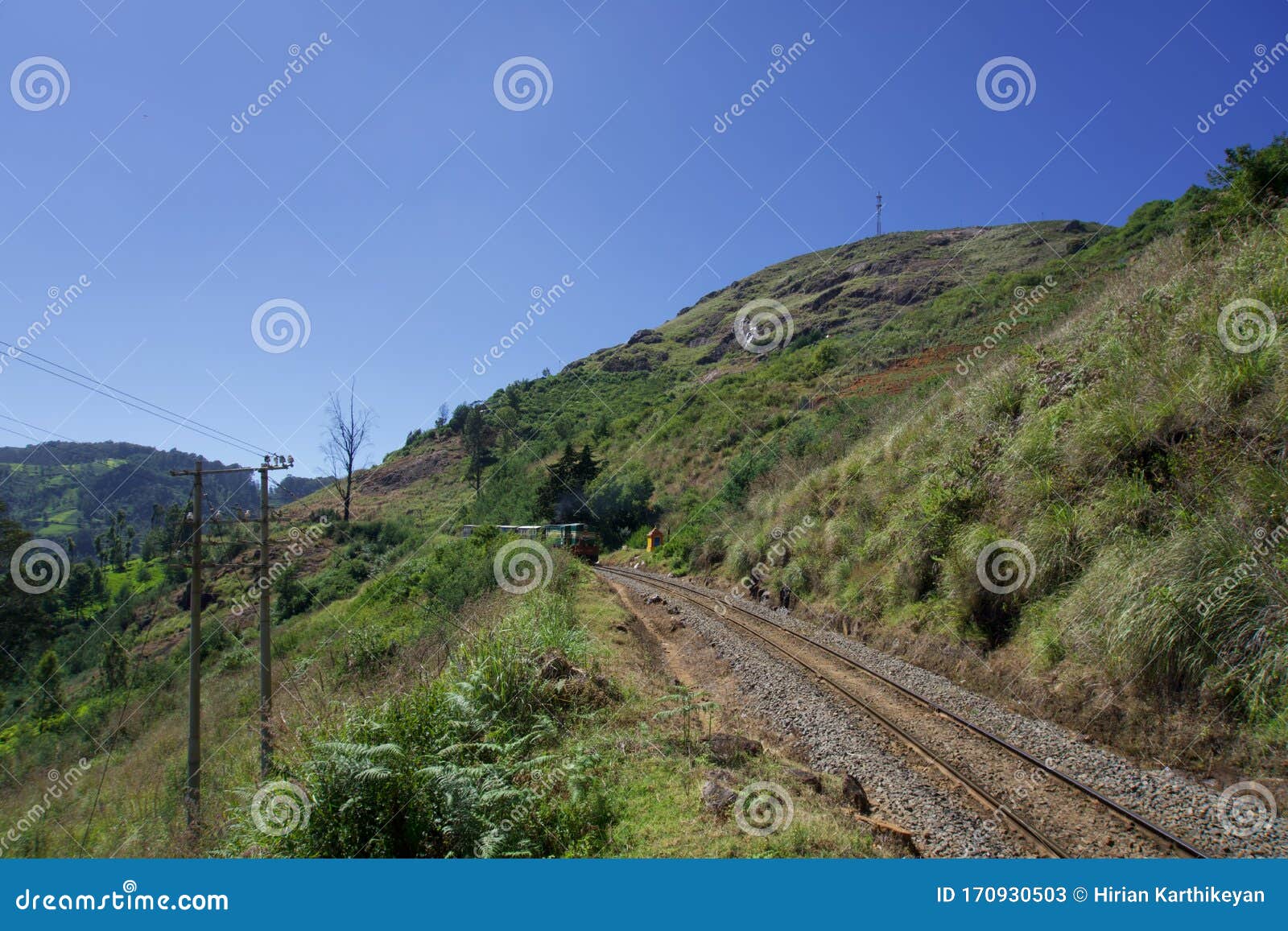 Forest Train Running through the Mountain Stock Image - Image of ...