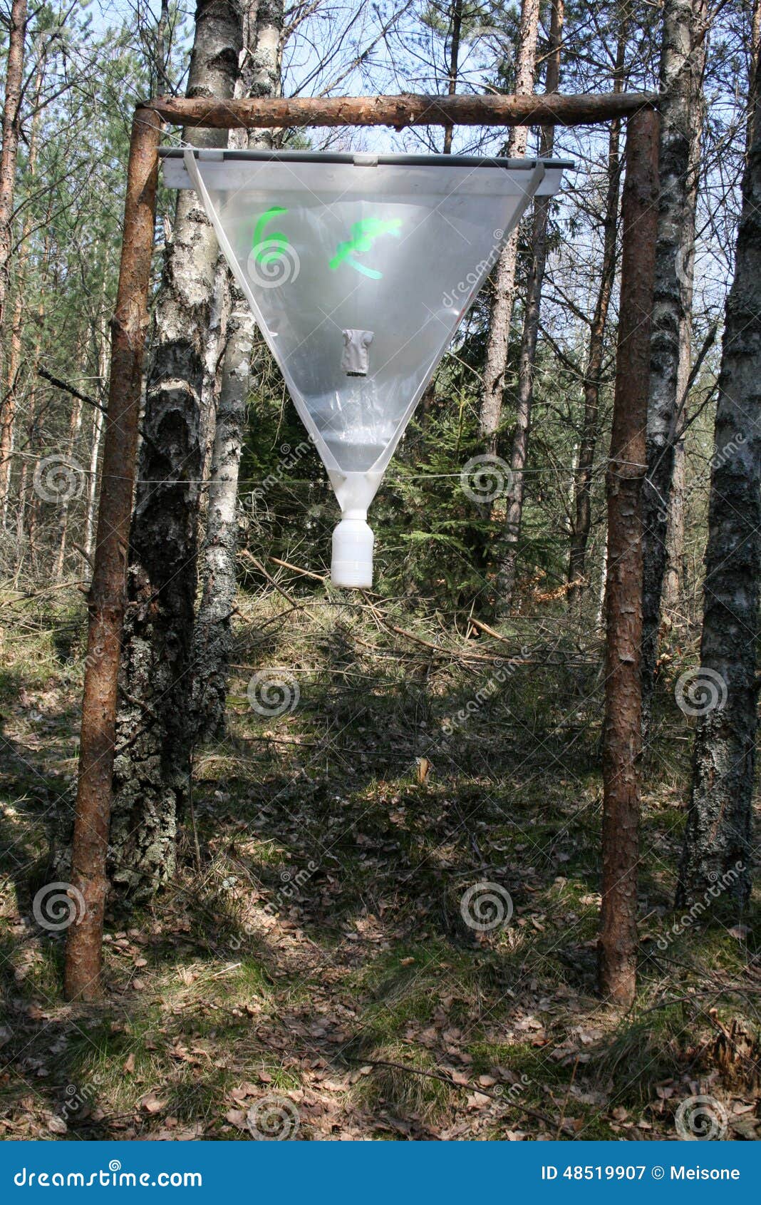 Forest trap stock image. Image of mounted, parasites - 48519907