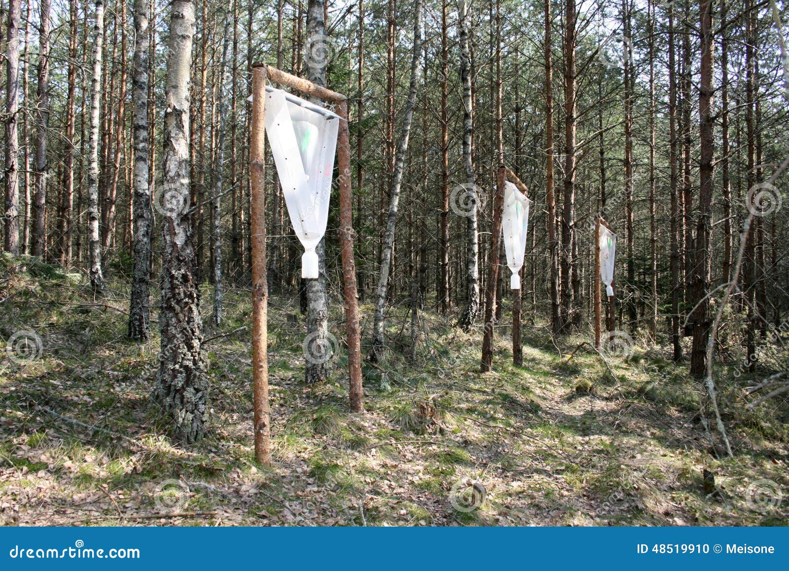 Forest trap stock photo. Image of lure, decoy, pests - 48519910