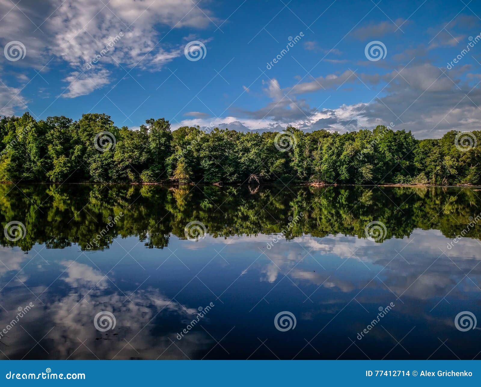 Forest Treeline Reflections in Catawba River Stock Photo - Image of ...
