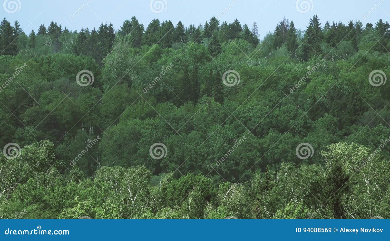 Trees Resist Wind Stock Photos - Free & Royalty-Free Stock Photos from ...