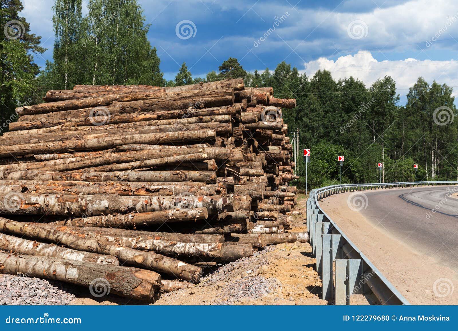 Forest Trees Deforestation for the Construction of the New City Stock ...