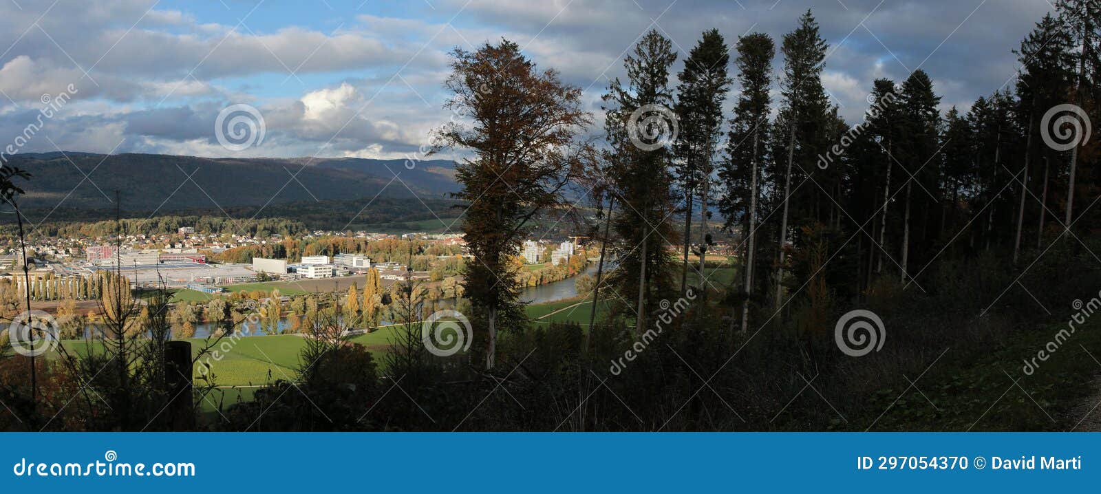 Forest Trees on a Hill stock photo. Image of weather - 297054370