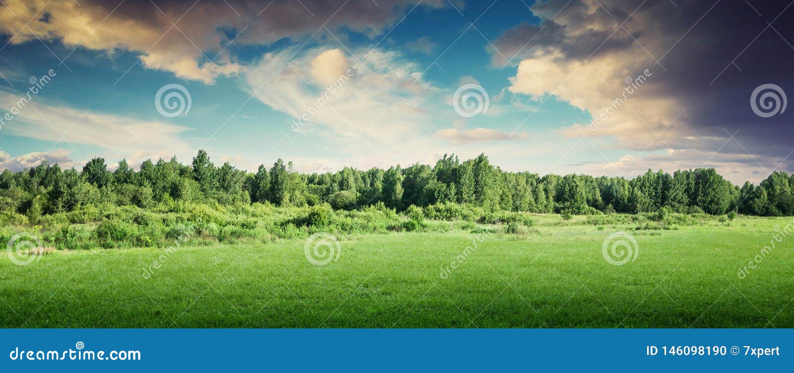 Forest Trees Landscape Panoramic Stock Photo - Image of clouds ...
