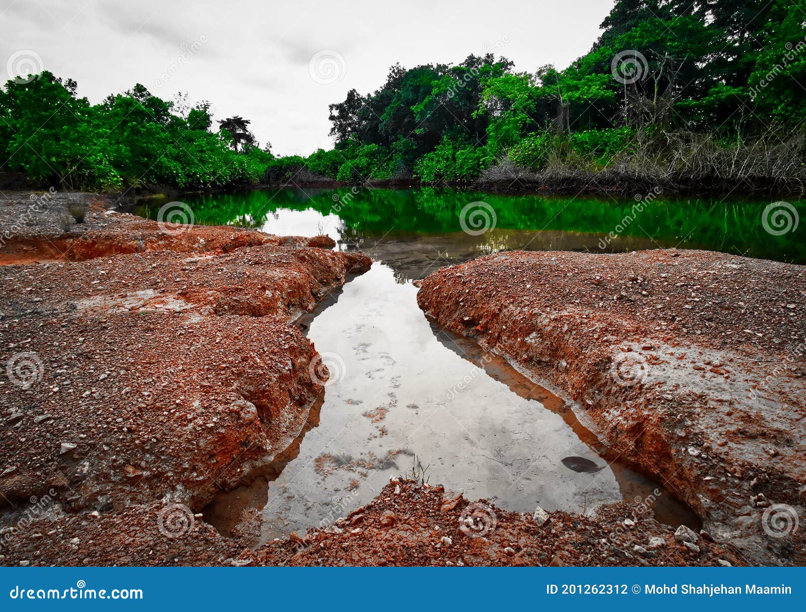 Nature stock photo. Image of control, light, landslides - 201262312