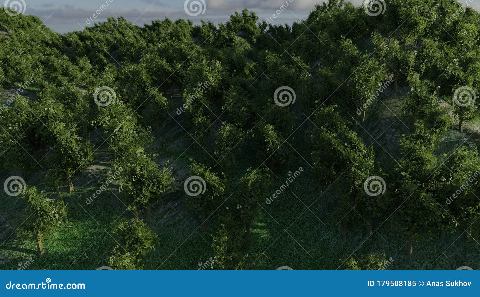 Forest Trees in the Mountains. 3d Rendering Stock Illustration ...