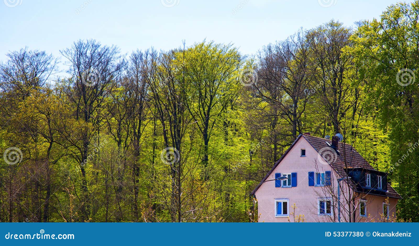 Forest and Trees and Old German House Stock Photo - Image of forest ...