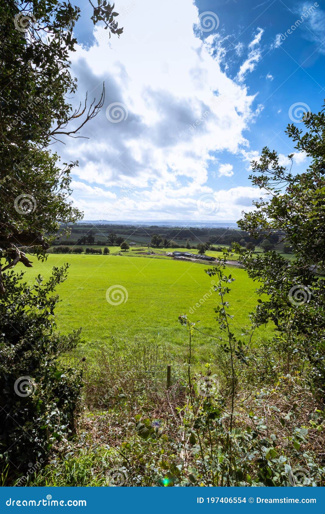 Forest Trees Provide a Bordered View of a Countryside Fields Stock ...