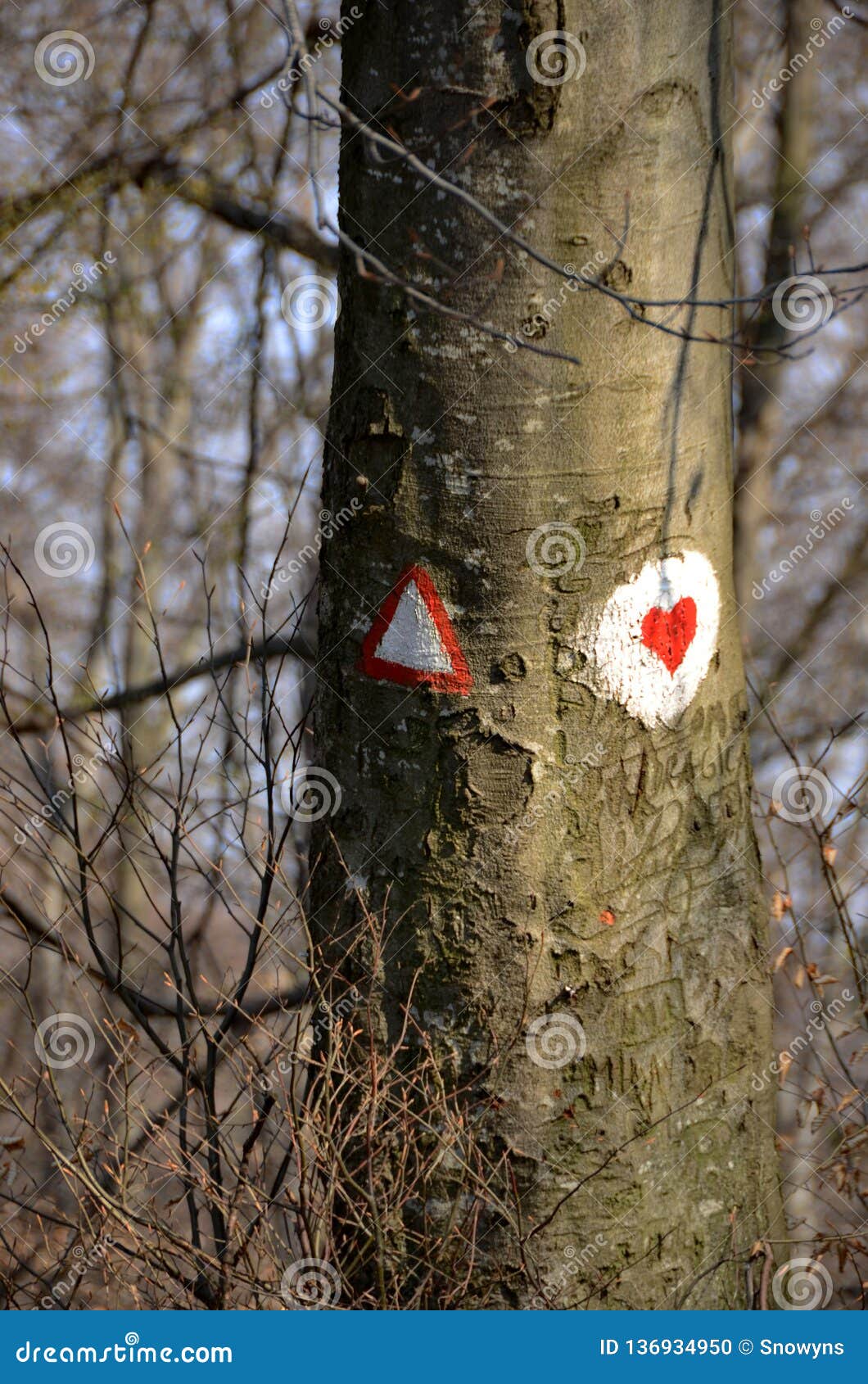 Forest with Trees and Red Heart Painted on Tree Stock Photo - Image of ...