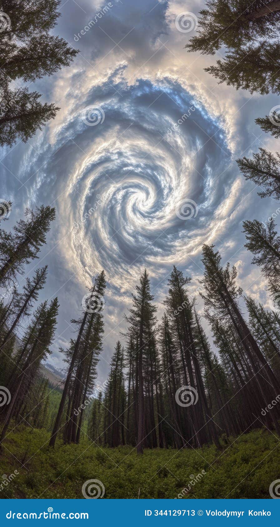 Forest Trees with Swirling Sky Above, Dramatic Nature Scene ...