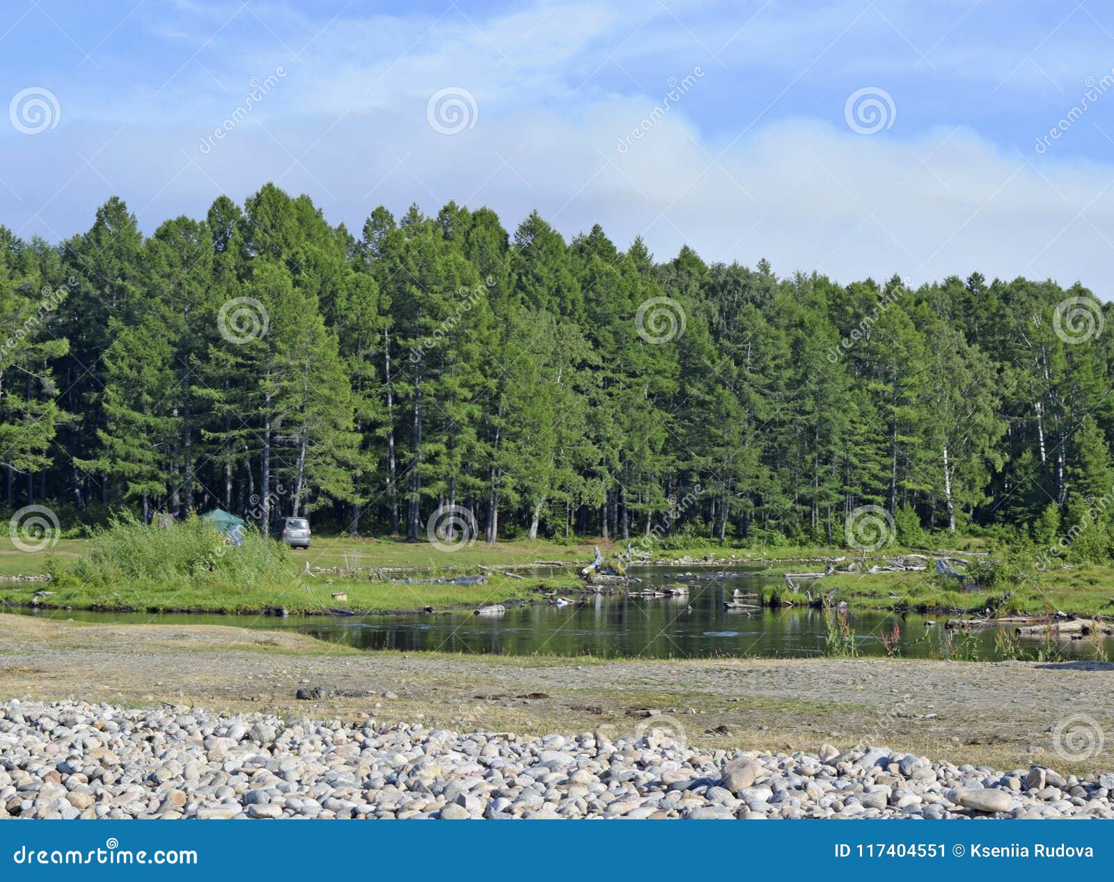 Forest and Tributary of Lake Baikal. Stock Image - Image of buryatia ...