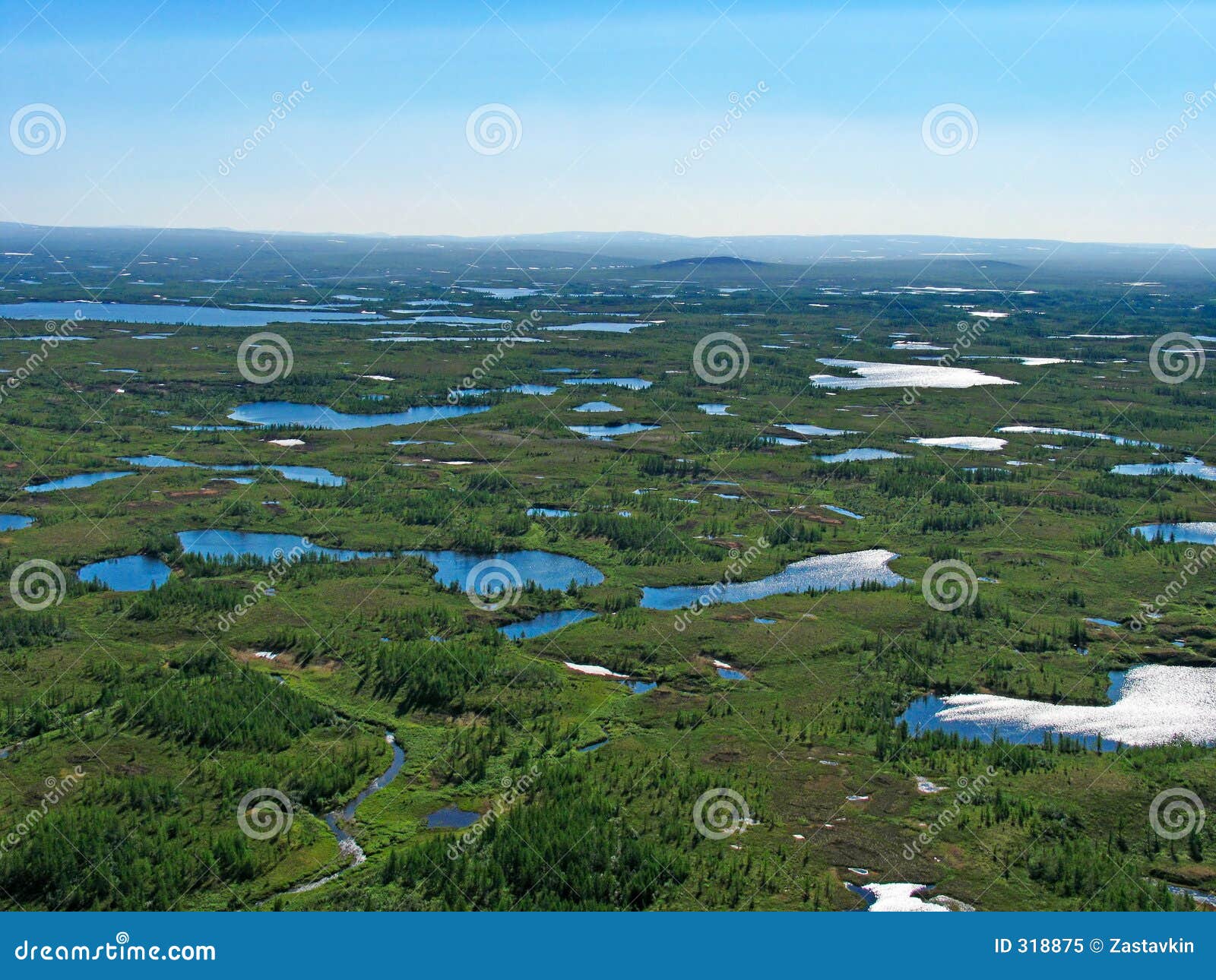 Forest-tundra landscape stock image. Image of north, vegetation - 318875