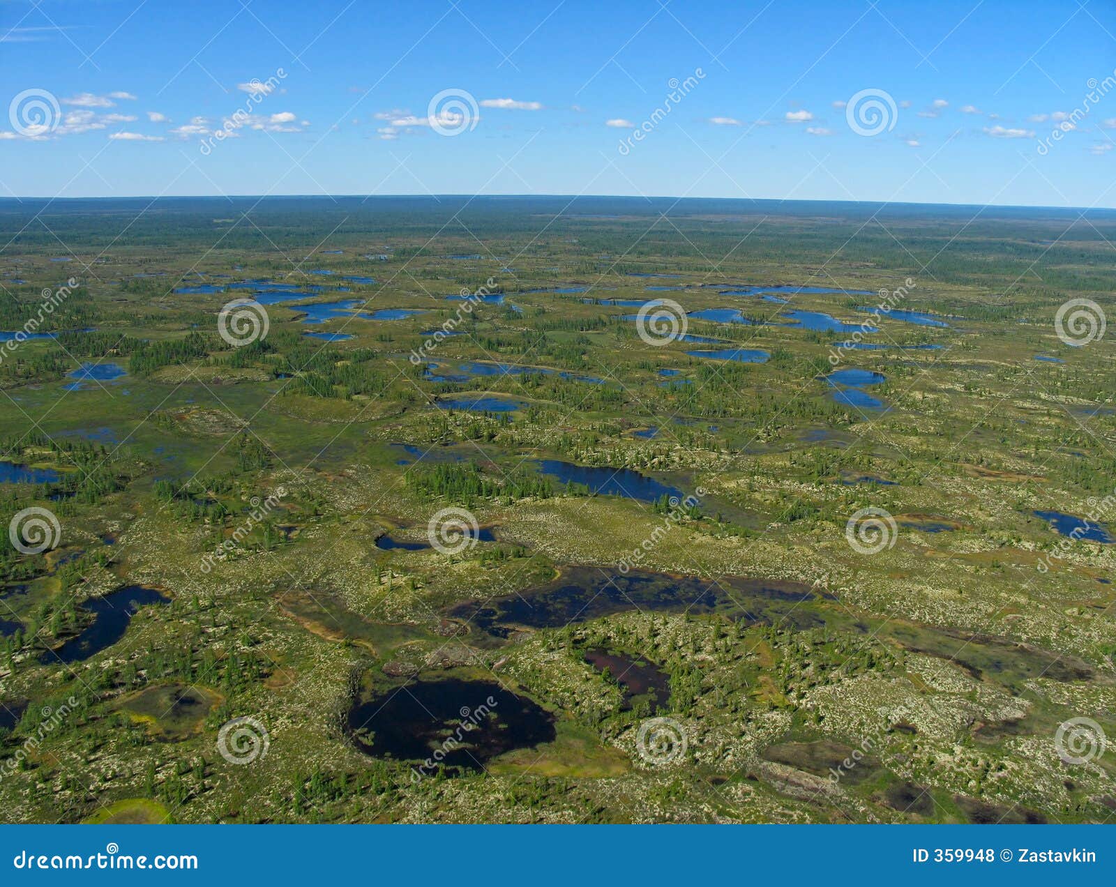 Forest-tundra landscape stock photo. Image of tundra, scenery - 359948