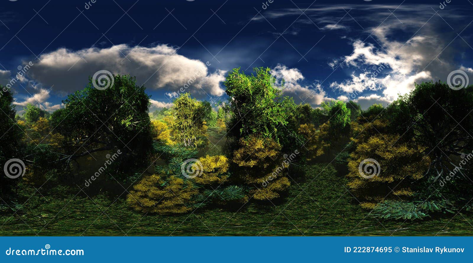 Forest Under the Sky with Clouds, HDRI, Environment Map Stock ...