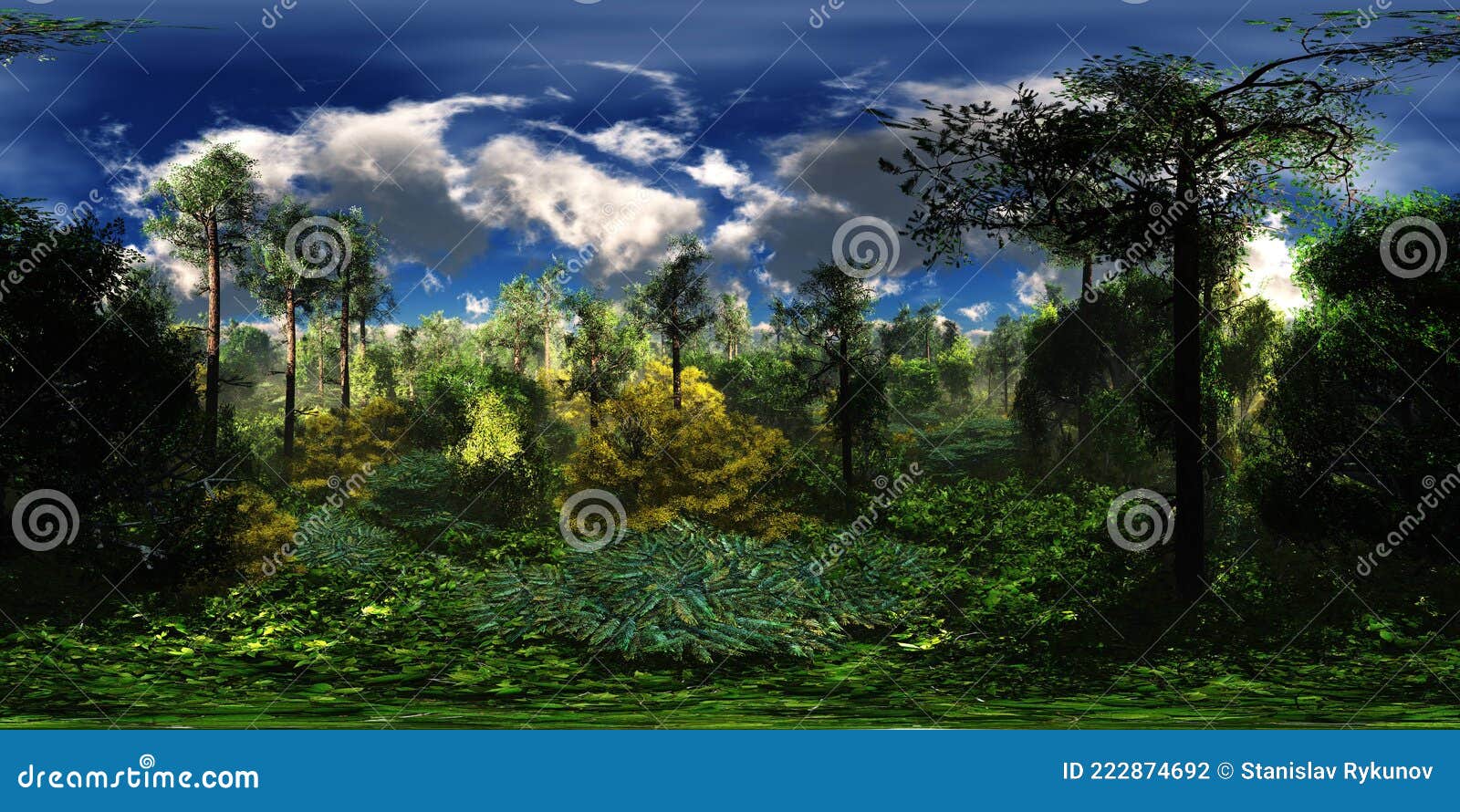 Forest Under the Sky with Clouds, HDRI, Environment Map Stock ...