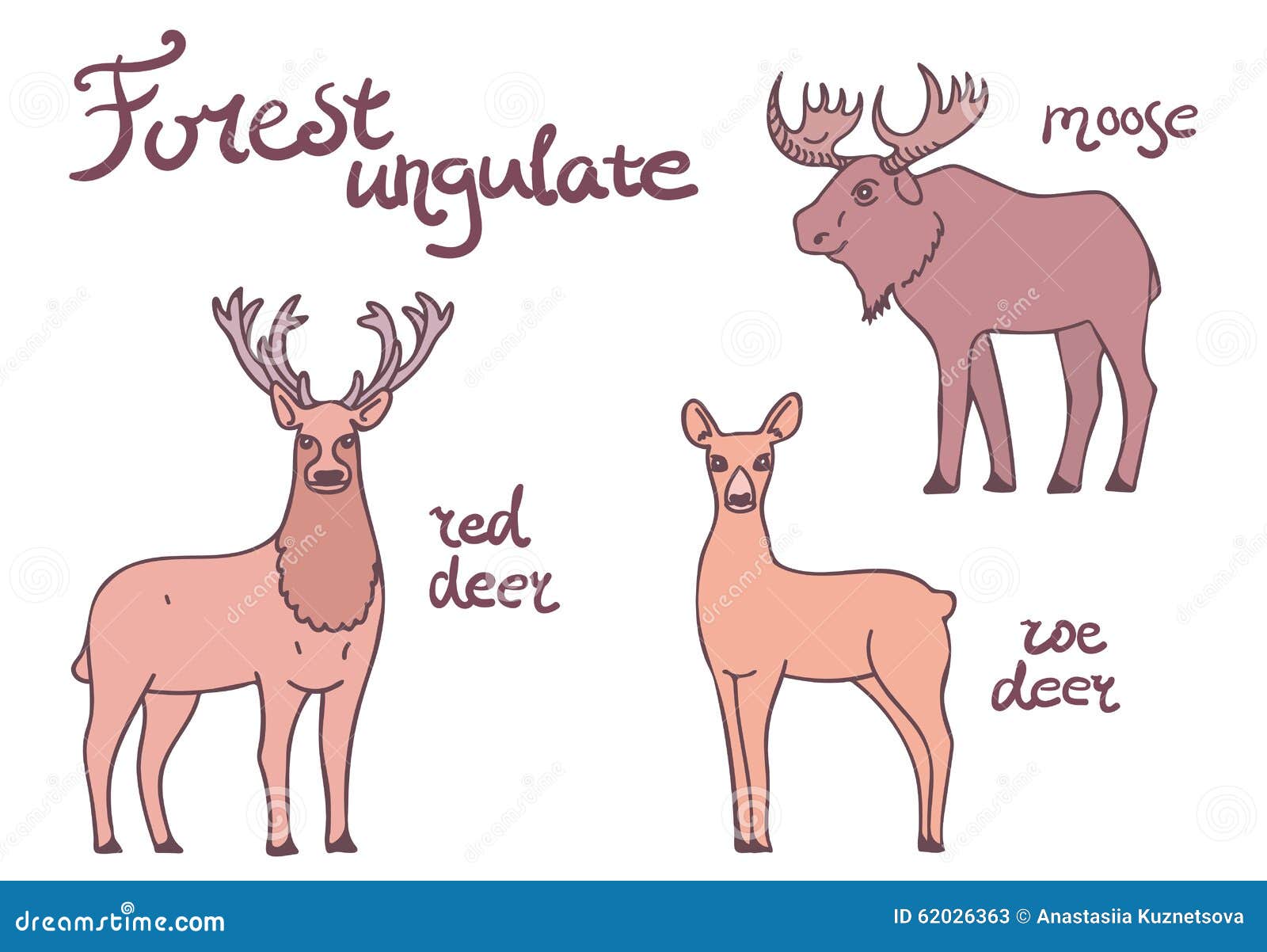 Cartoon Ungulate Animals Set Stock Illustrations – 20 Cartoon Ungulate ...
