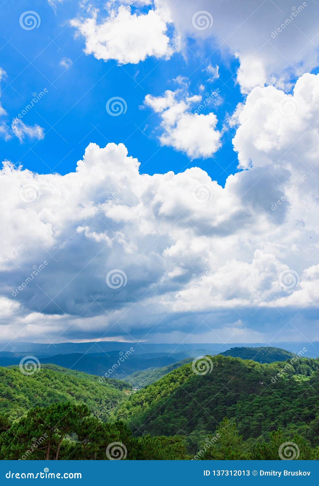 Forest view from above stock image. Image of forest - 137312013