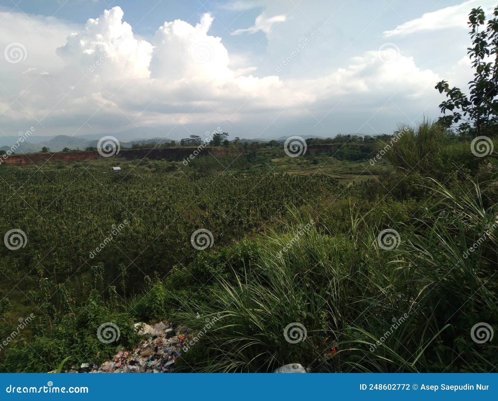 Forest View Kuningan Indonesia Stock Photo - Image of field, tree ...