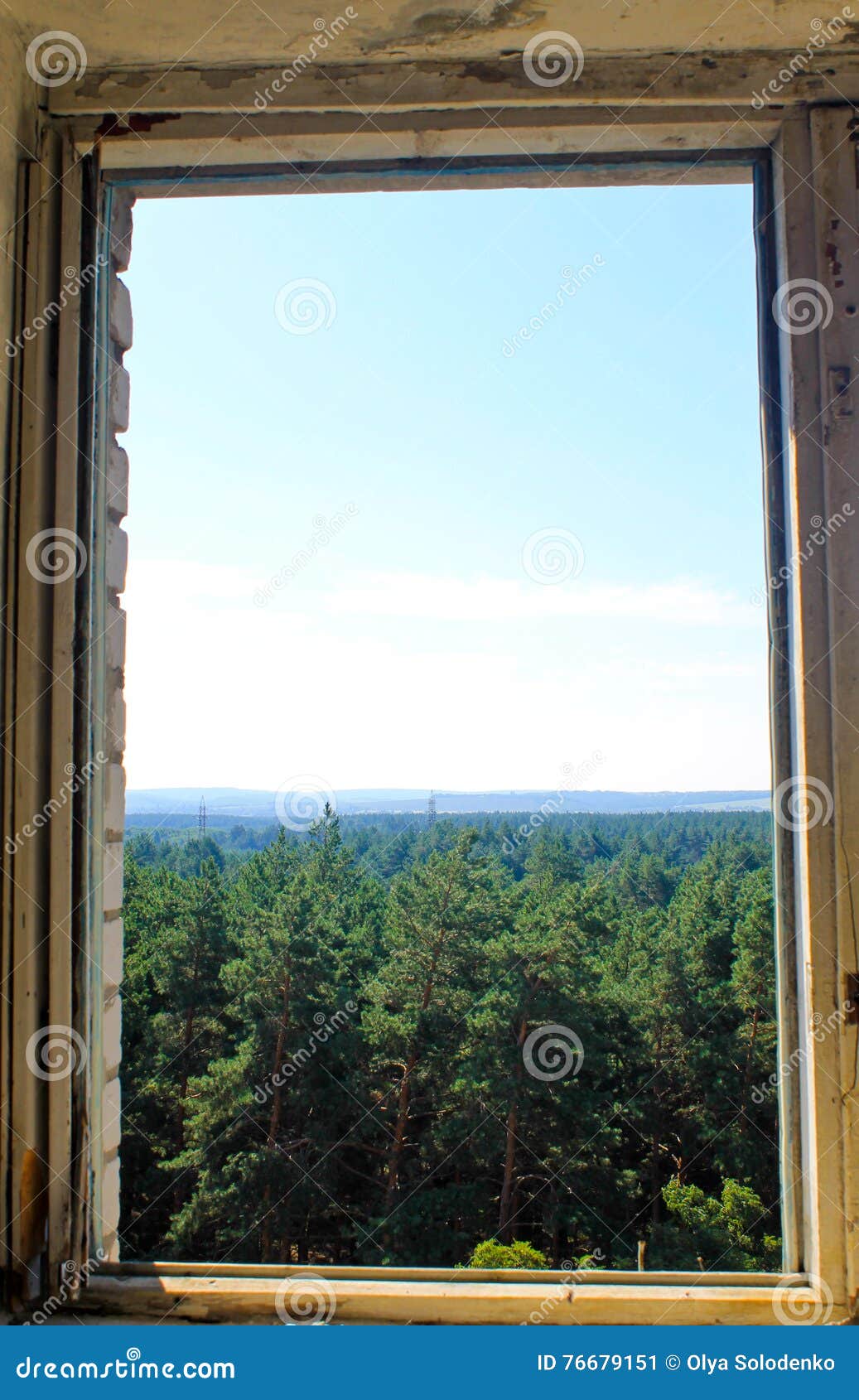 Forest View through Window Frame of an Abandoned House Stock Image ...