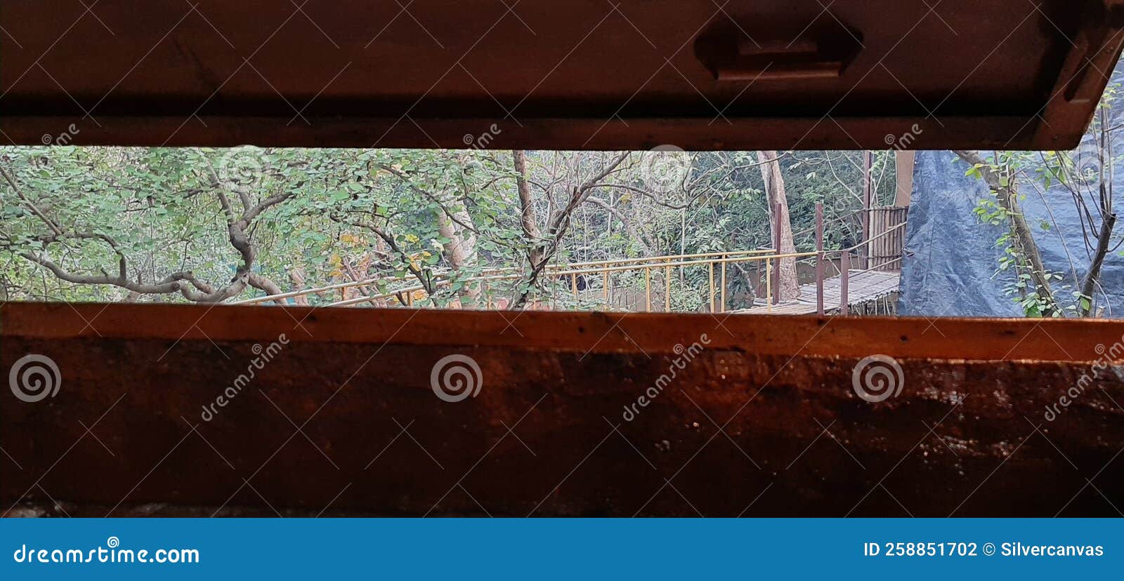 Forest View through the Window of Hut Stock Photo - Image of open, view ...