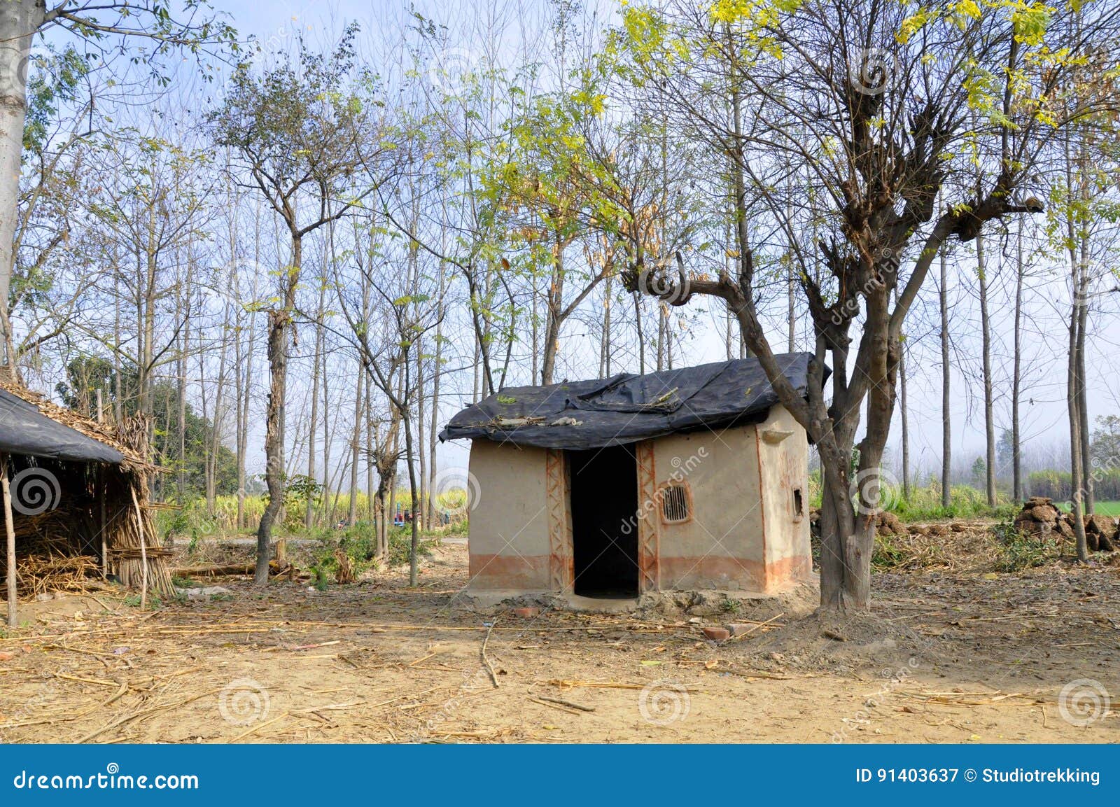 Forest Village stock image. Image of house, forest, tree - 91403637