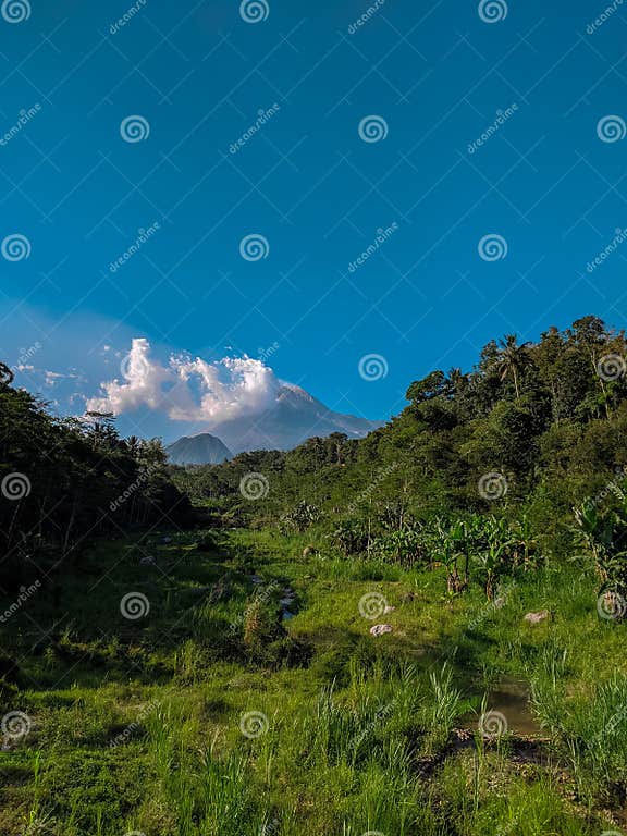 Forest with Volcano in the Background Stock Image - Image of volcano ...