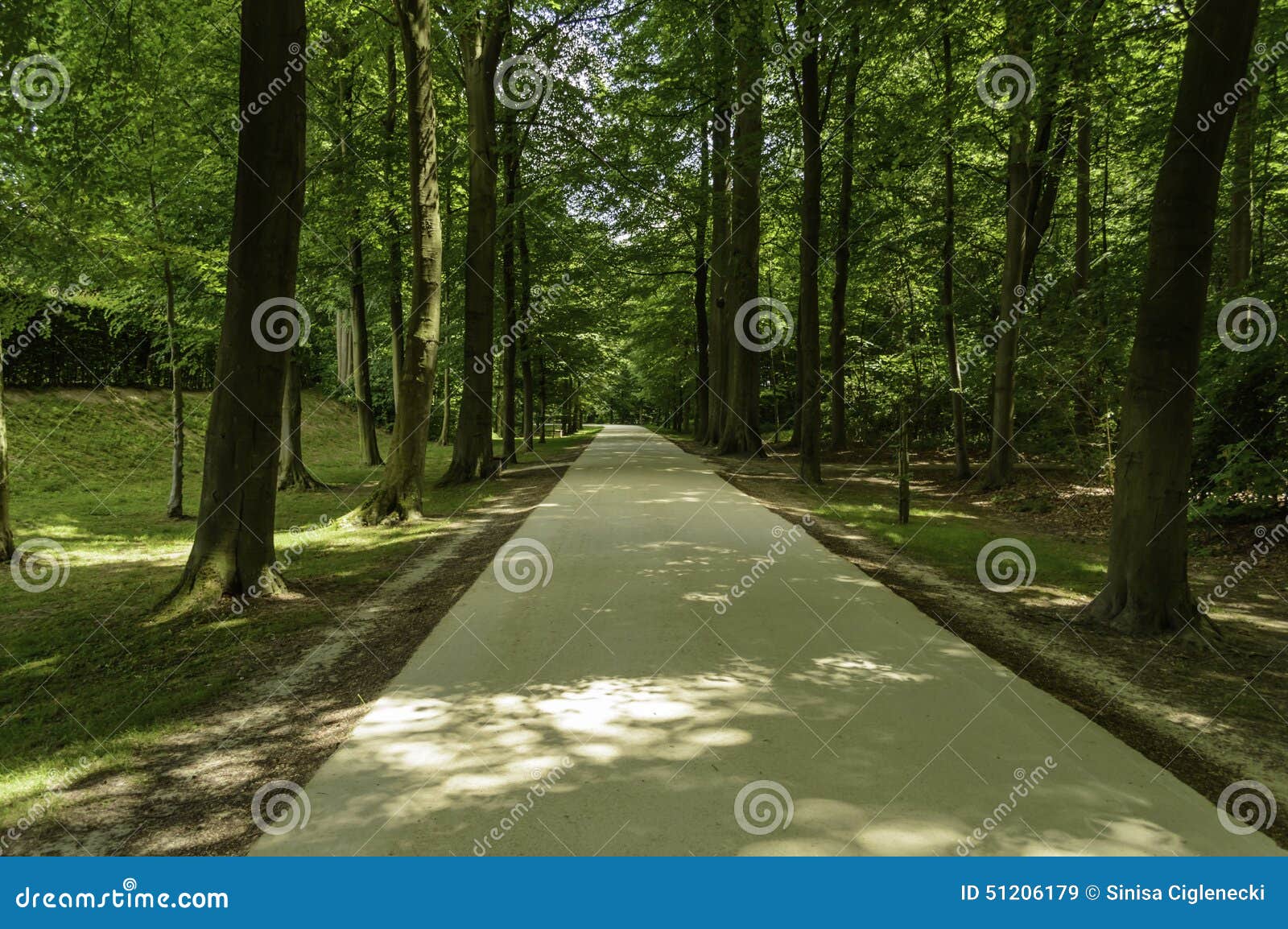 Forest Walking Path in Belgium Stock Image - Image of gaasbeek, castle ...