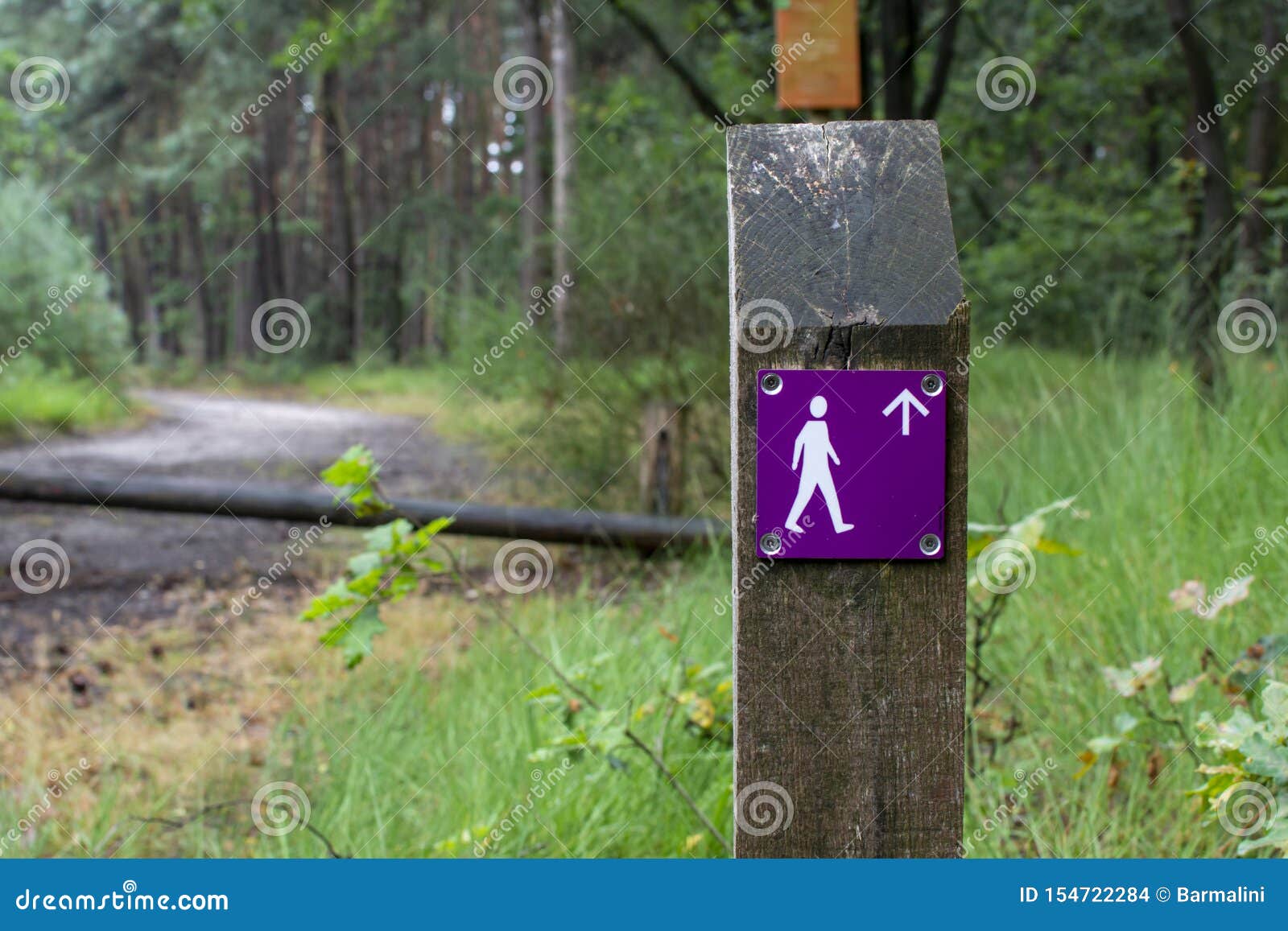 Forest Walking Paths Network Signpost in Kempen Forest, Brabant ...