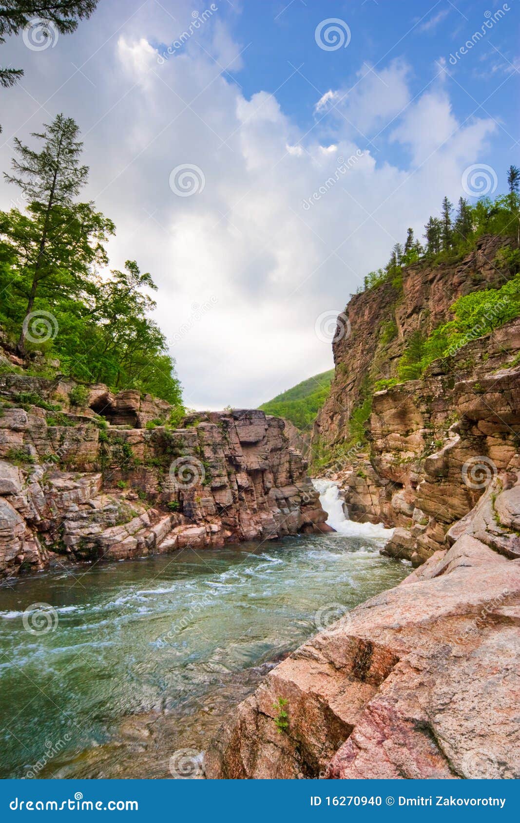 Forest water stock photo. Image of fragment, nature, calm - 16270940