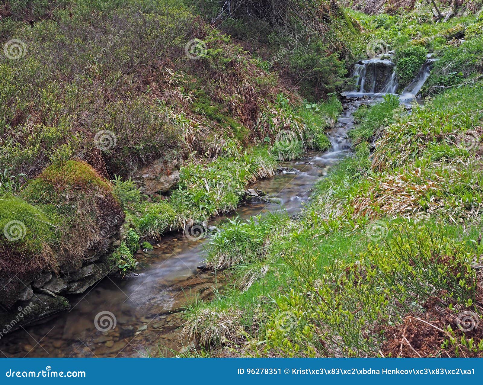Forest Water Stream Cascade in the Geen Grass Stock Image - Image of ...