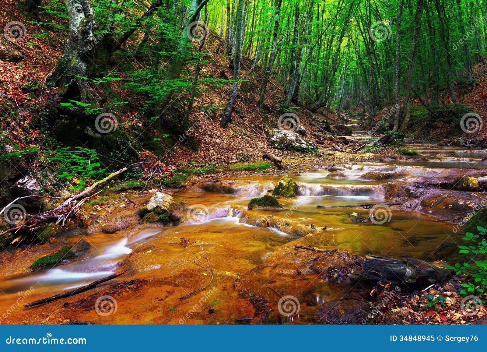 Forest with Water Stream and Rapids Stock Image - Image of streamy ...