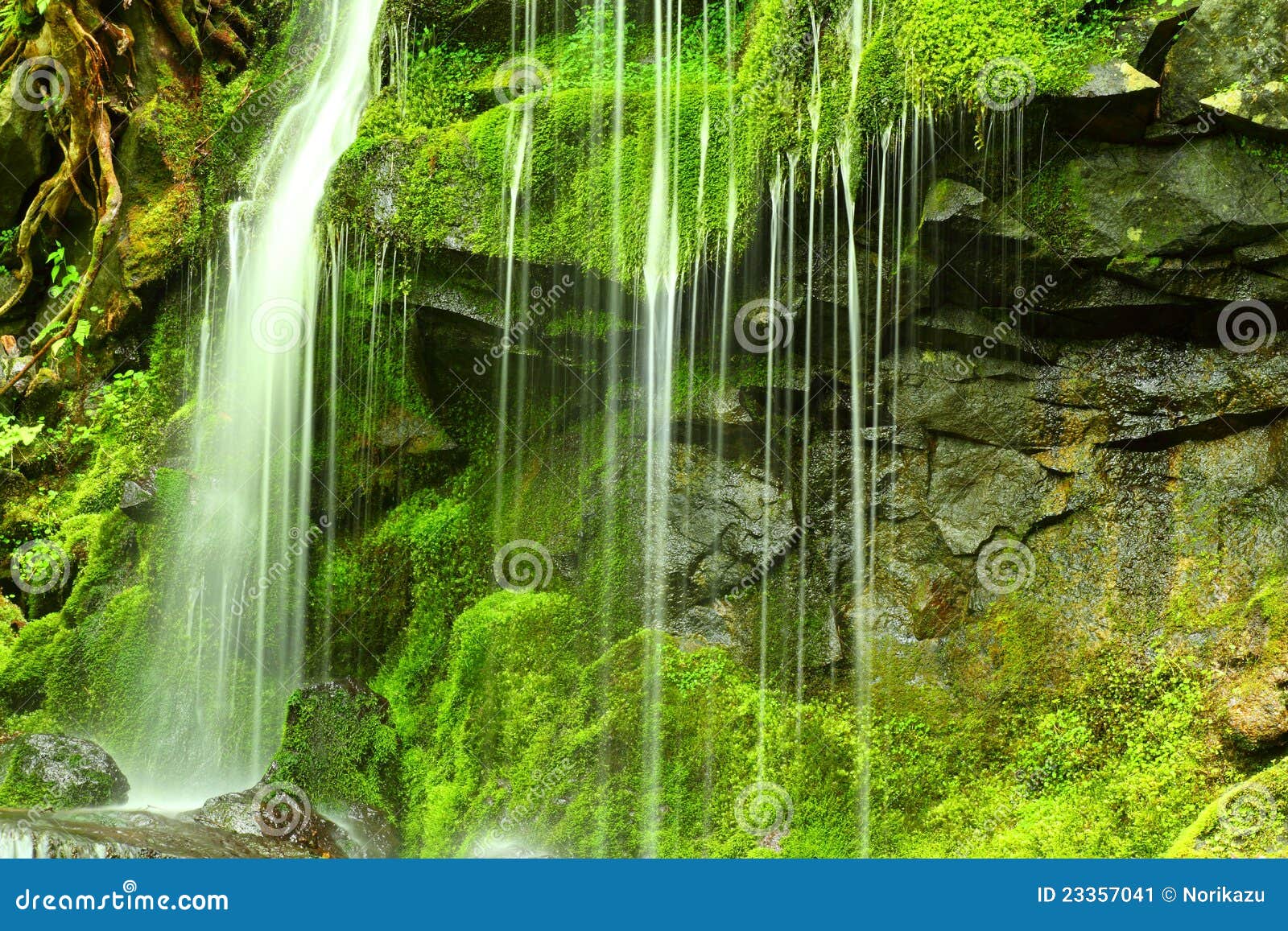 Forest waterfall stock image. Image of clean, plant, moss - 23357041