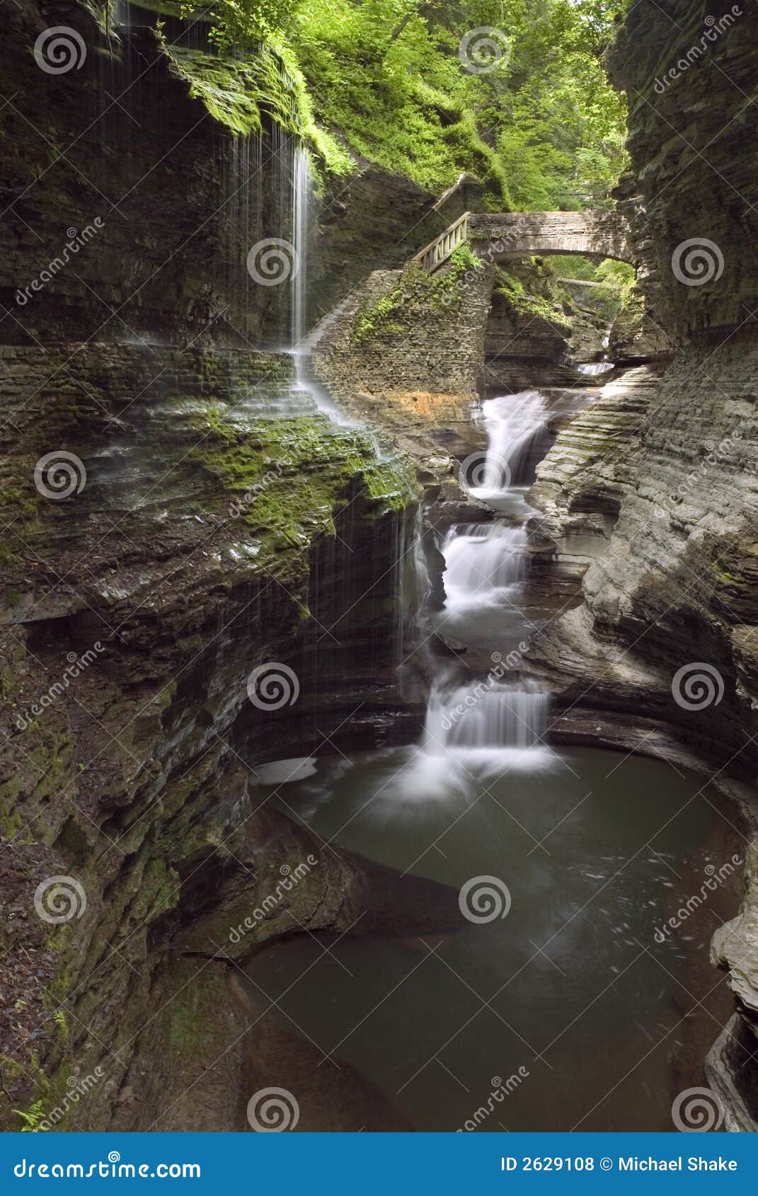 Forest Waterfall stock photo. Image of landscape, park - 2629108