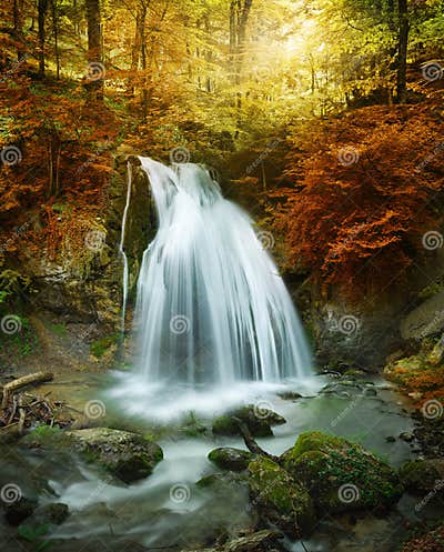 Forest waterfall stock image. Image of waterfalls, moss - 37798753