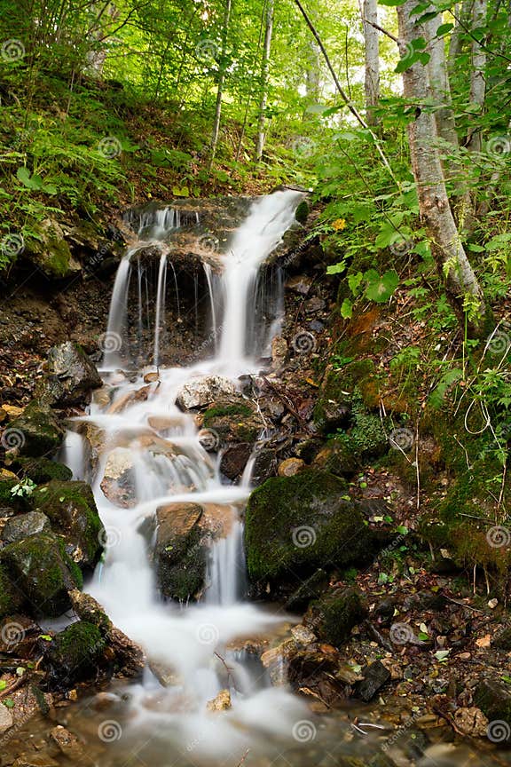 Forest waterfall cascading stock photo. Image of motion - 20864914