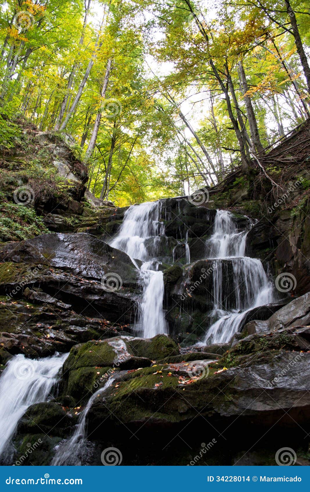 Forest Waterfall and Rocks Covered with Moss Stock Photo - Image of ...