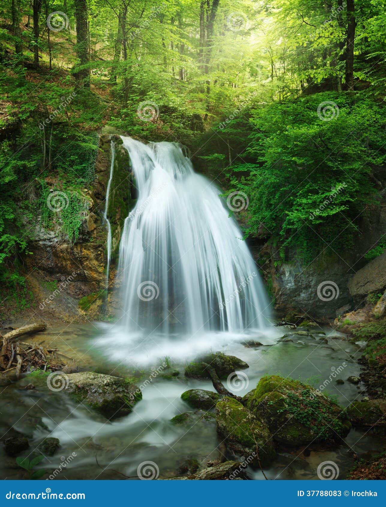 Forest waterfall stock image. Image of rainforest, rain - 37788083