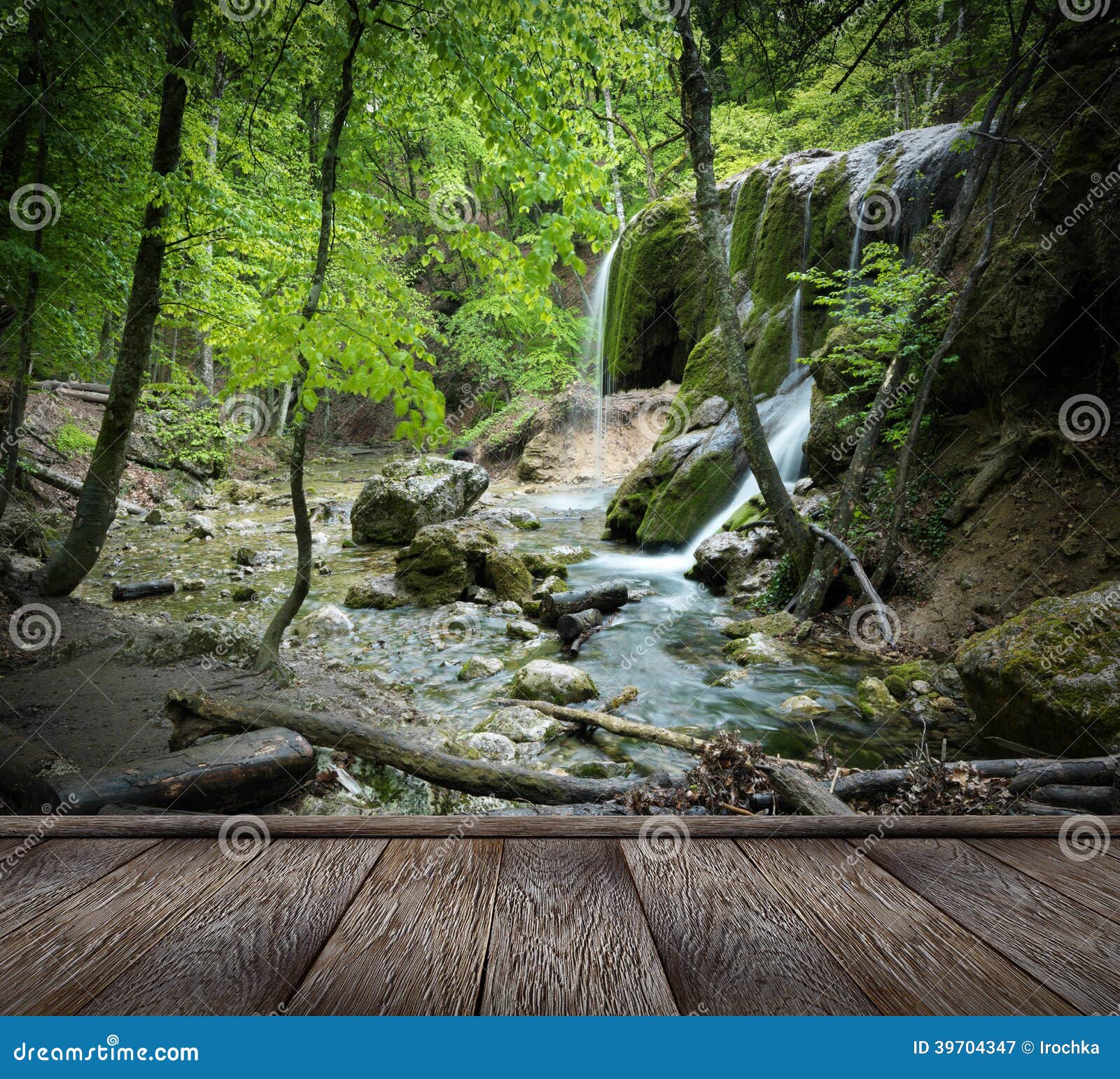 Forest waterfall stock image. Image of fall, creek, beautiful - 39704347