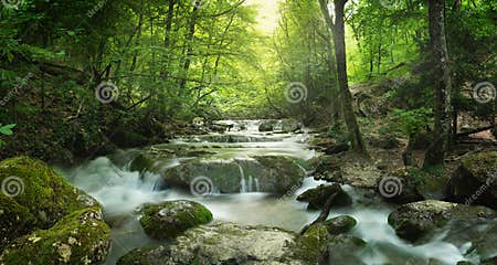 Forest waterfall stock image. Image of rock, landscape - 41398695
