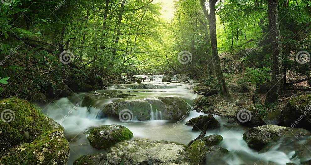 Forest waterfall stock image. Image of rock, landscape - 41398695