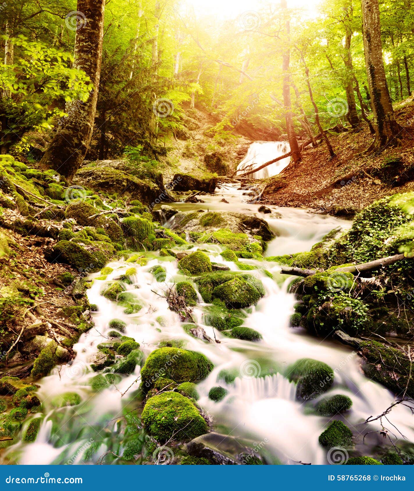 Forest waterfall stock photo. Image of jungle, landscape - 58765268